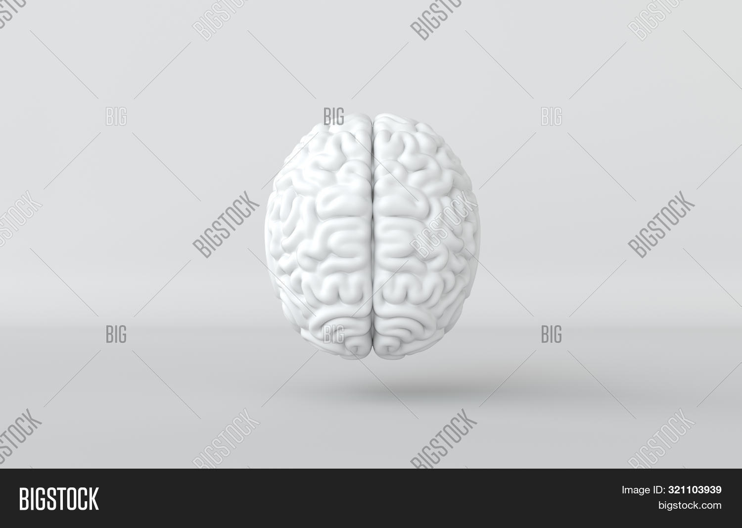 3d Brain Rendering Image & Photo (Free Trial) | Bigstock