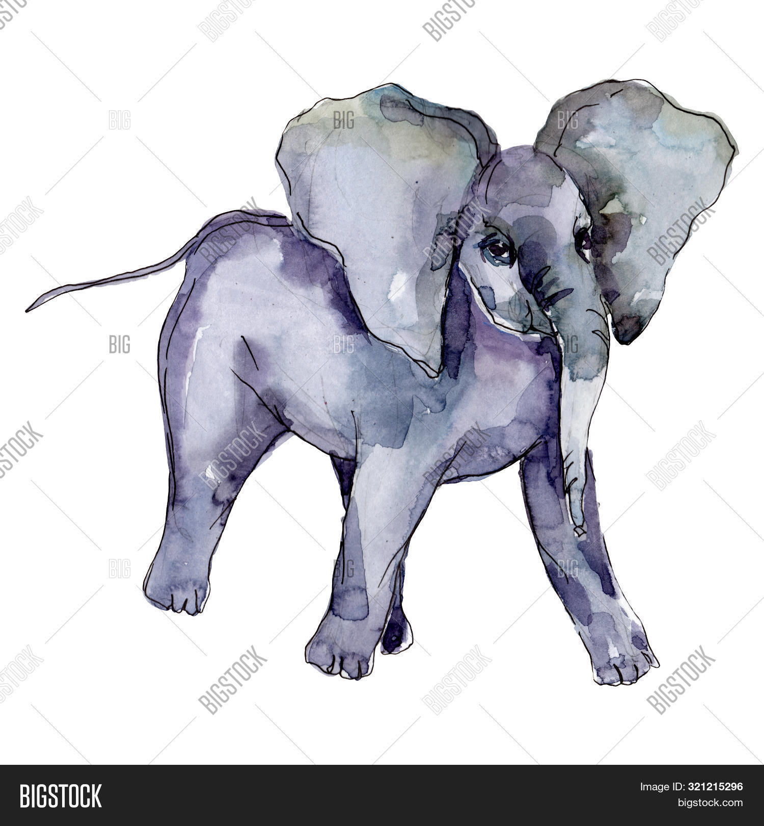 Elephant Exotic Animal Image & Photo (Free Trial) | Bigstock