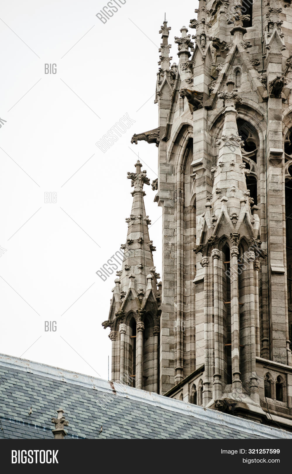 Beautiful Neo-gothic Image & Photo (Free Trial) | Bigstock