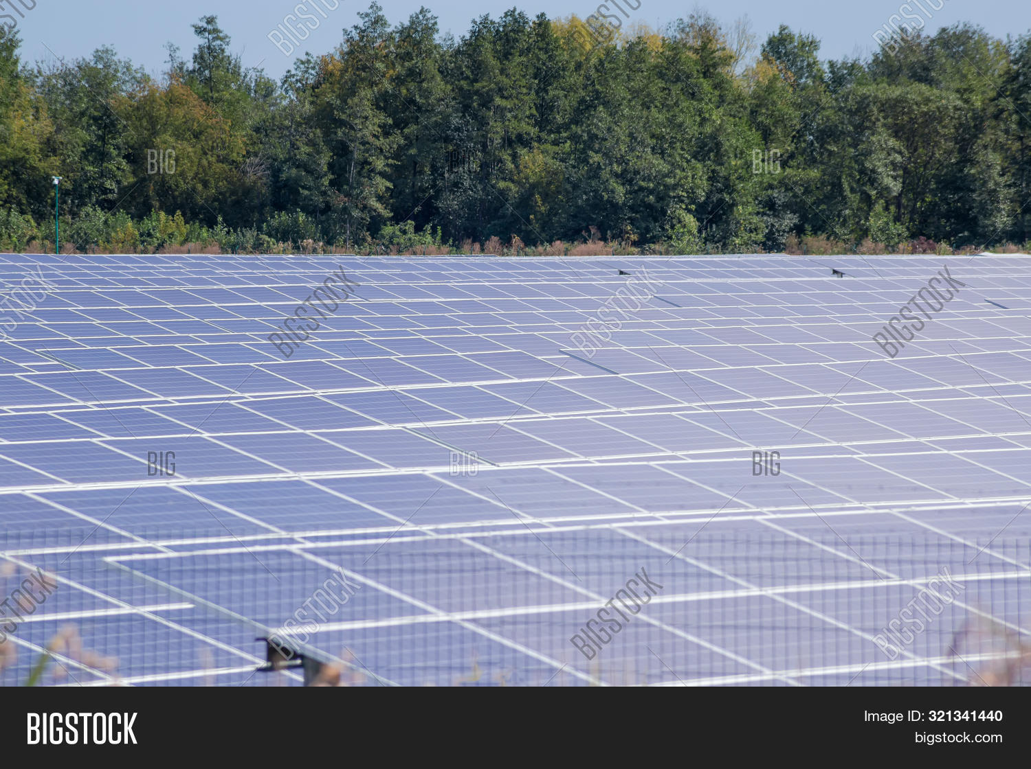 Surface Array Image & Photo (Free Trial) | Bigstock