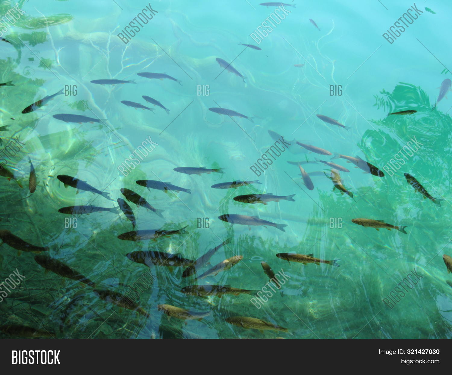 Top View On Clear Image & Photo (Free Trial) | Bigstock