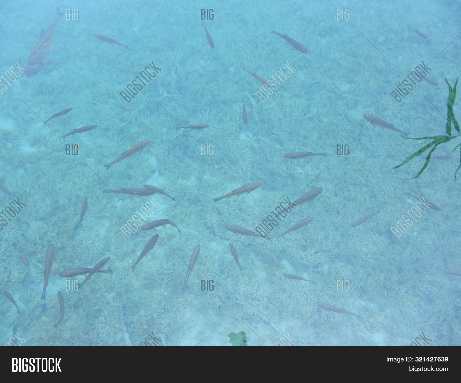 Top View On Clear Image & Photo (Free Trial) | Bigstock