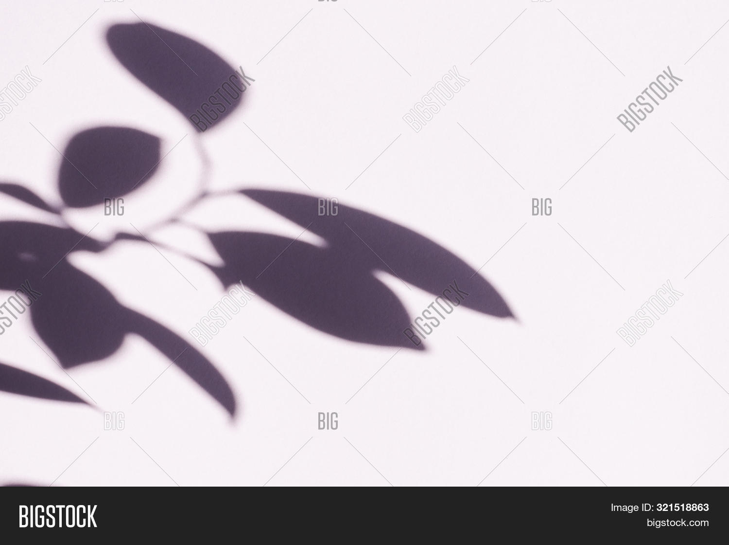 Tree Leaves Shadow On Image & Photo (Free Trial) | Bigstock