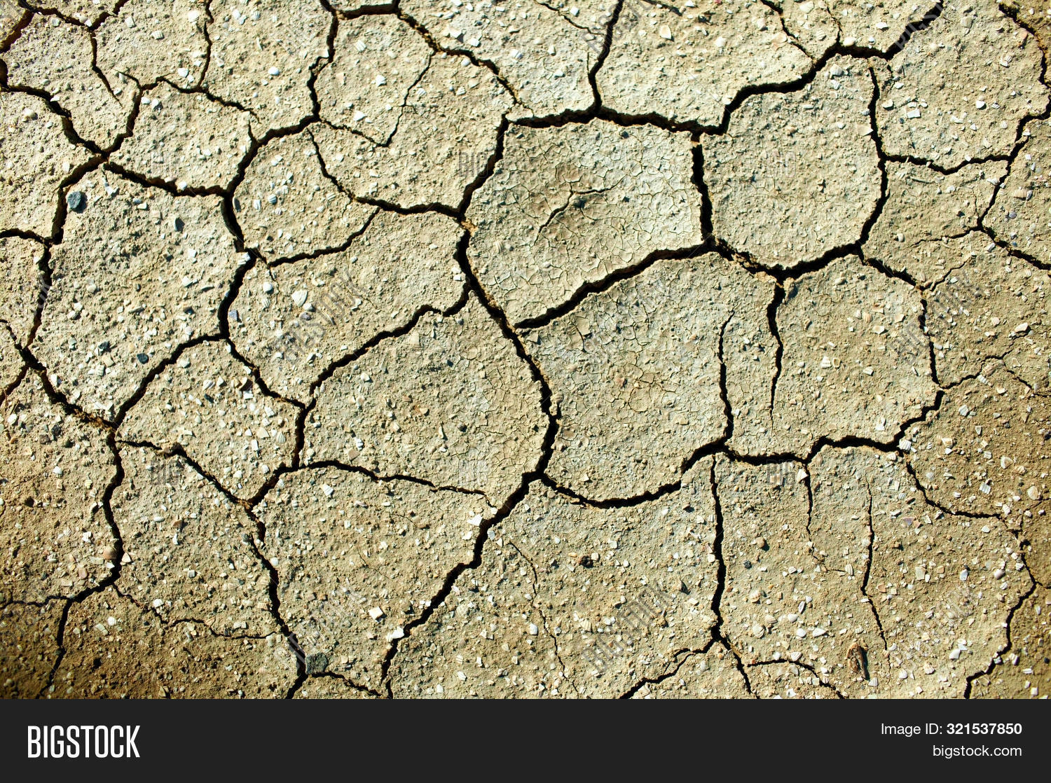 Cracked Dry Land Image & Photo (Free Trial) | Bigstock