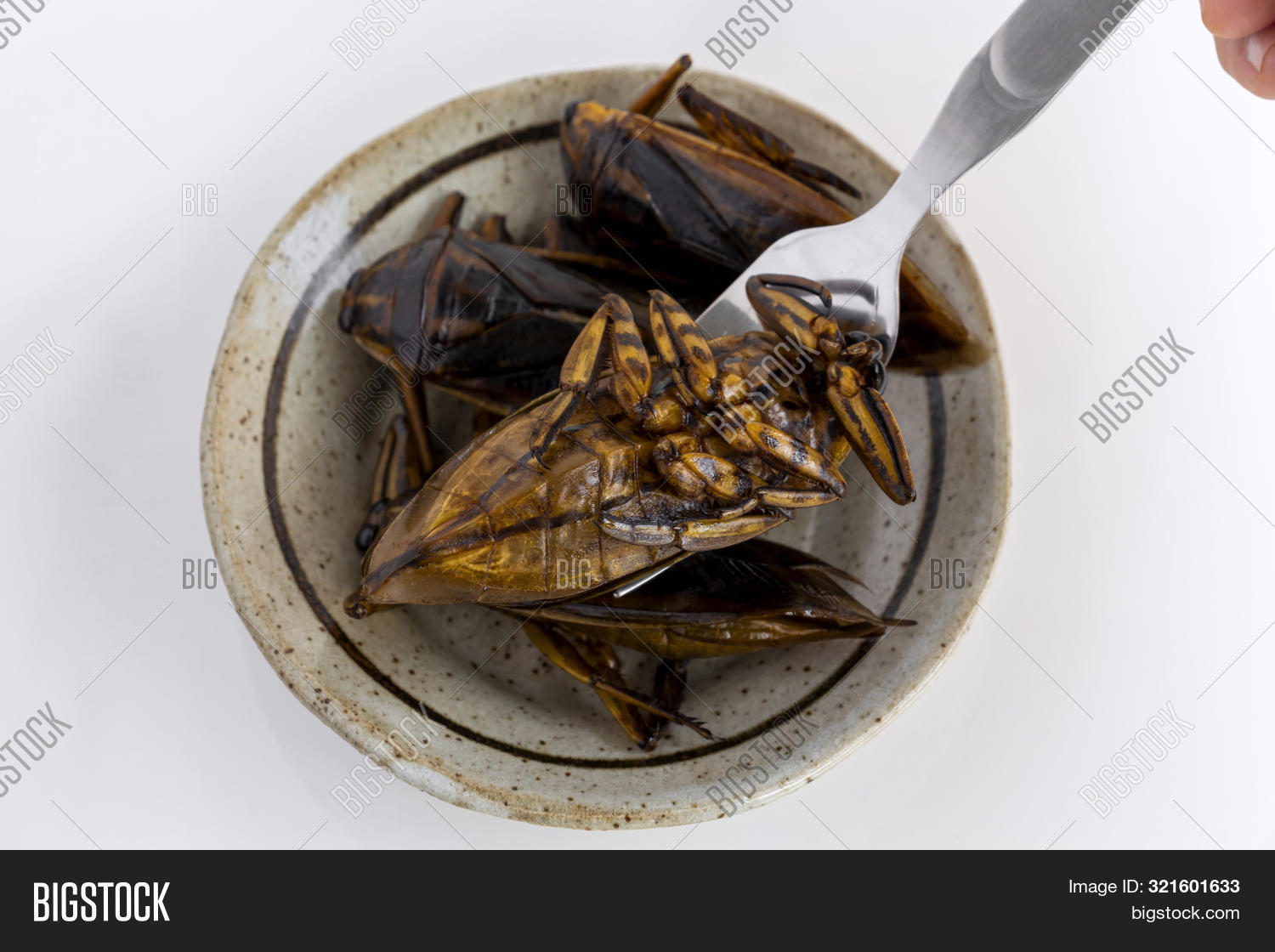 Food Insects: Giant Image & Photo (Free Trial) | Bigstock