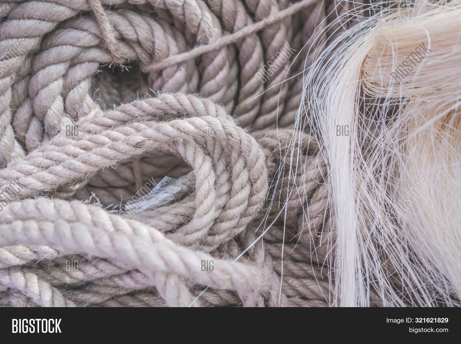 Jute Fiber Texture. Image & Photo (Free Trial) | Bigstock