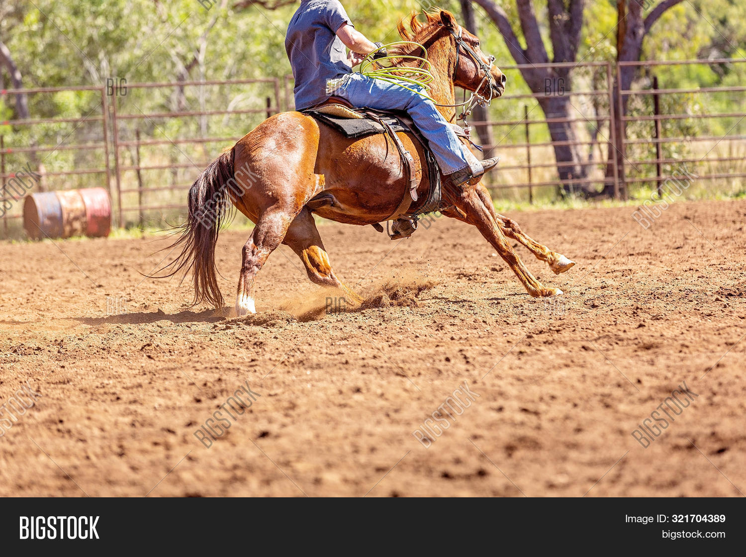 Cowboy On Horseback Image & Photo (Free Trial) | Bigstock