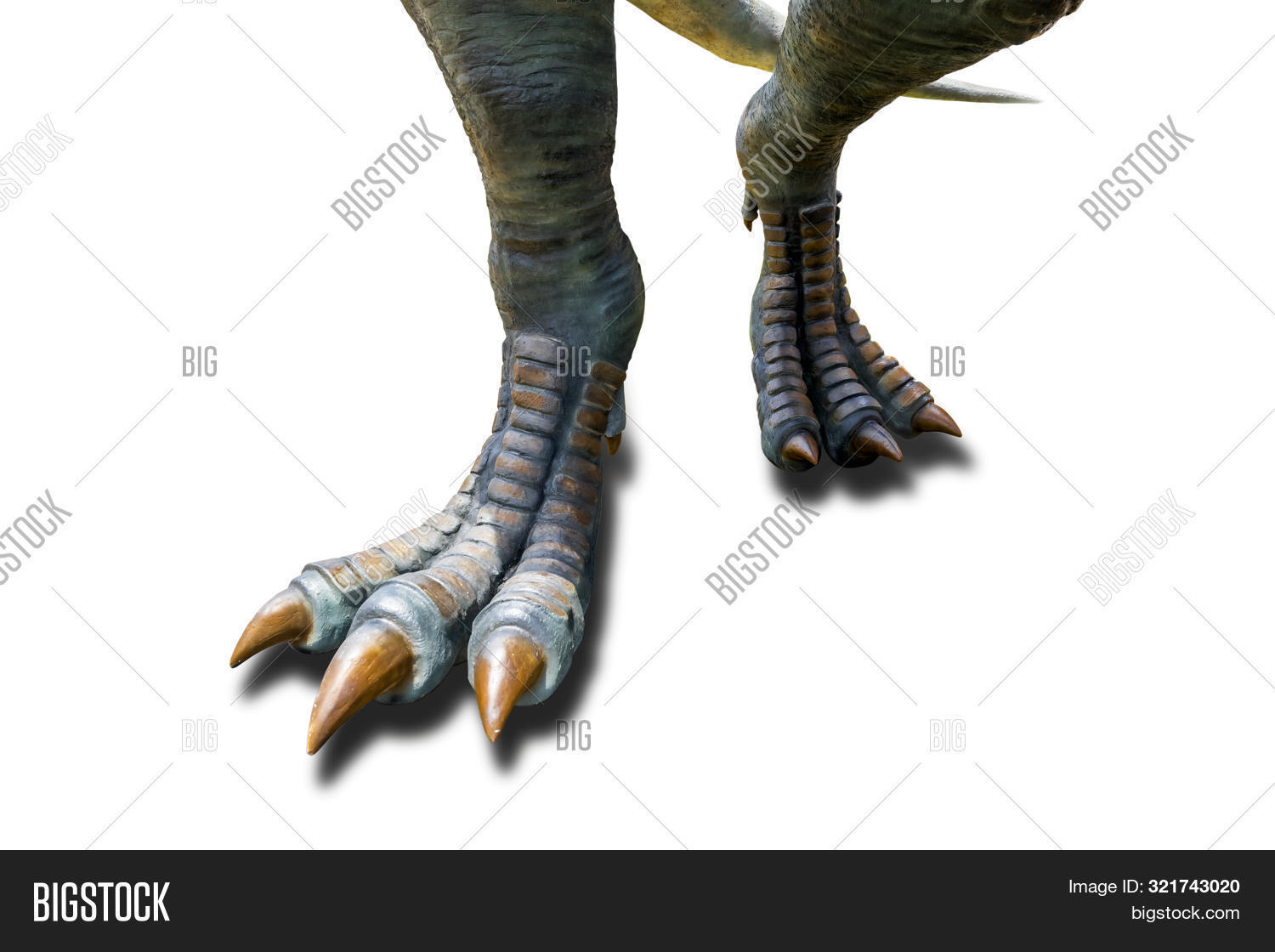 Tyrannosaurus ( T-rex Image & Photo (Free Trial) | Bigstock