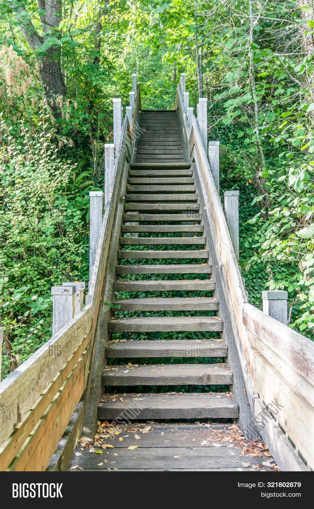 Steep Stairs Lead Image & Photo (Free Trial) | Bigstock