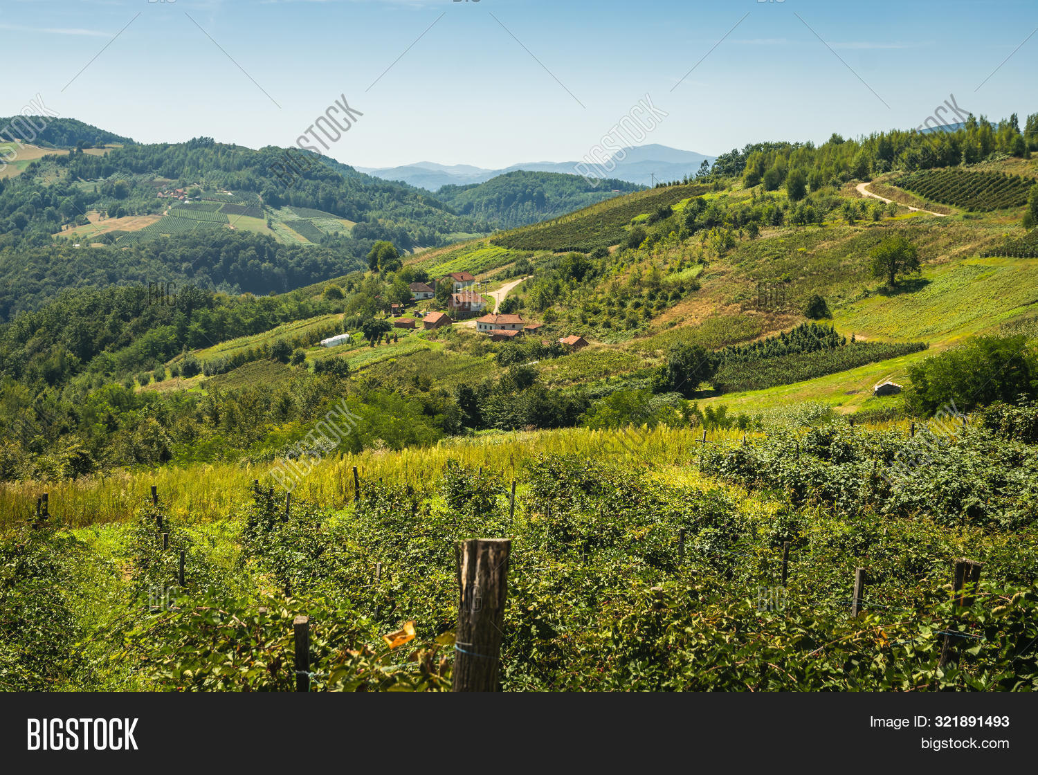 Green Valley Nature Image & Photo (Free Trial) | Bigstock