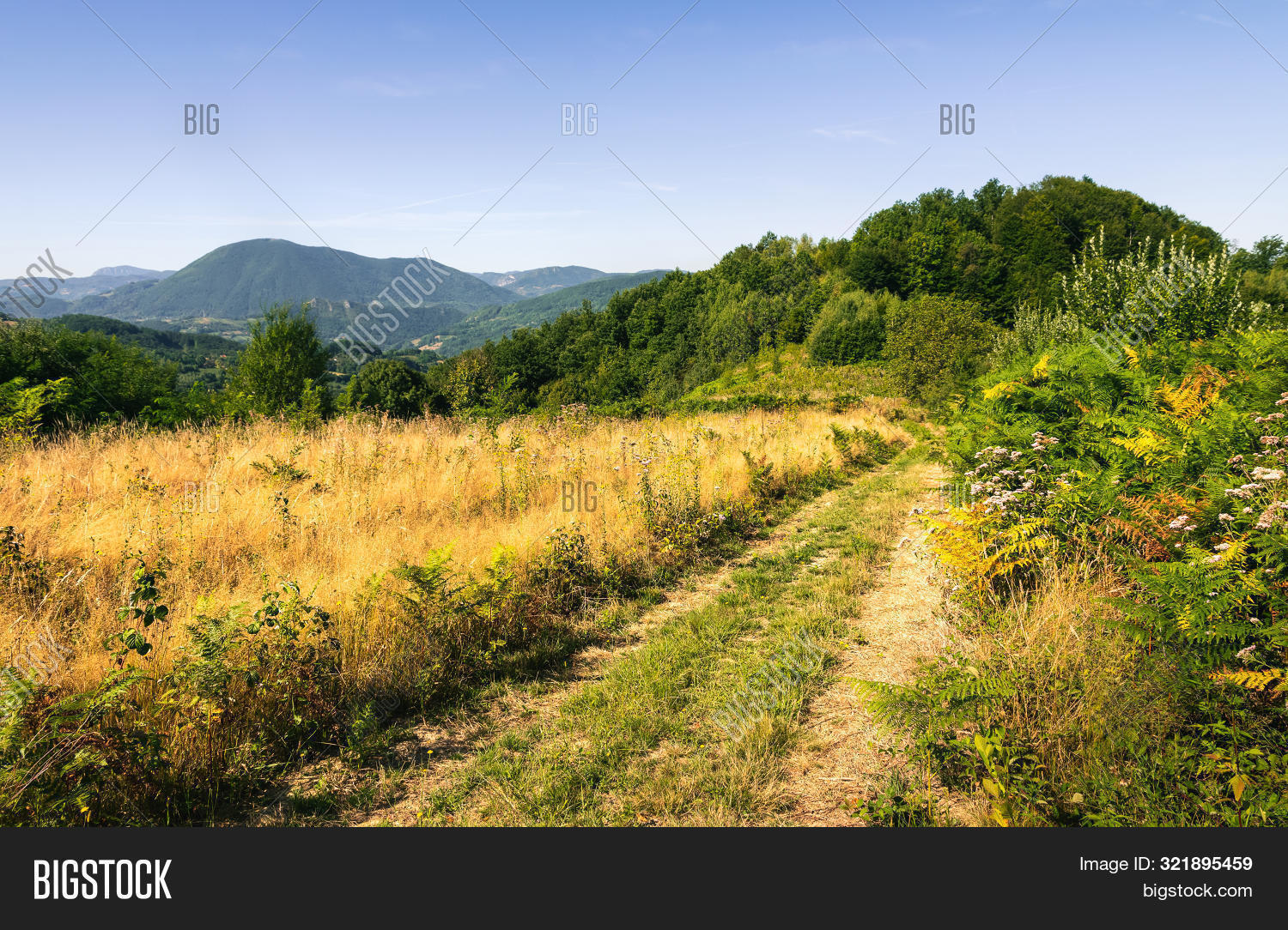 Summer Countryside Image & Photo (Free Trial) | Bigstock