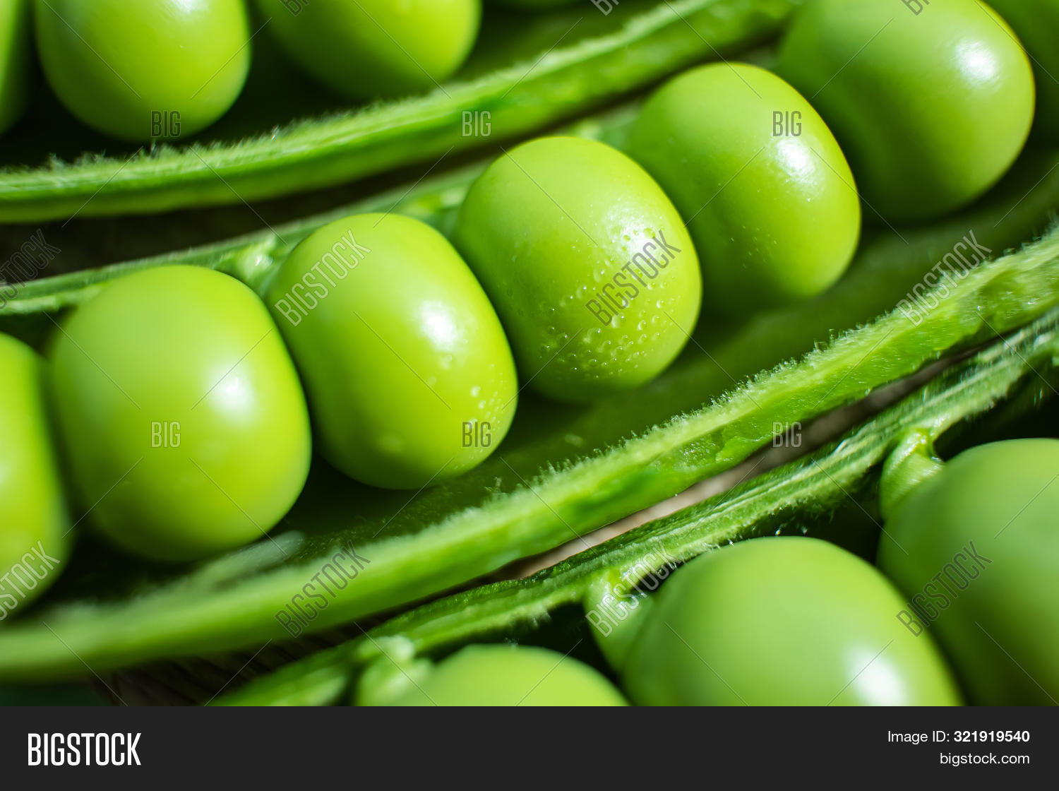 Peas Pod Close-. Fresh Image & Photo (Free Trial) | Bigstock
