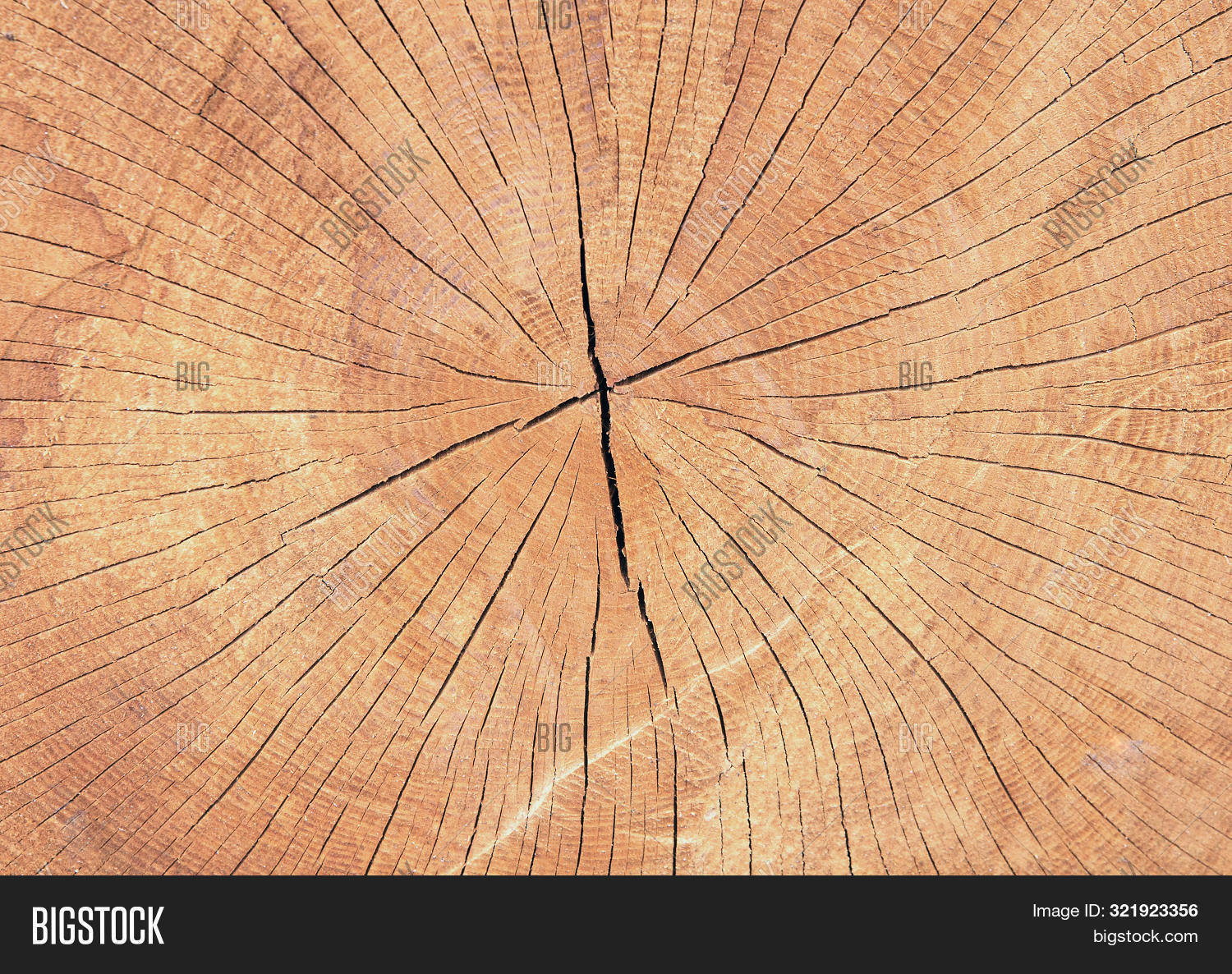 Close Texture Old Sawn Image & Photo (Free Trial) | Bigstock