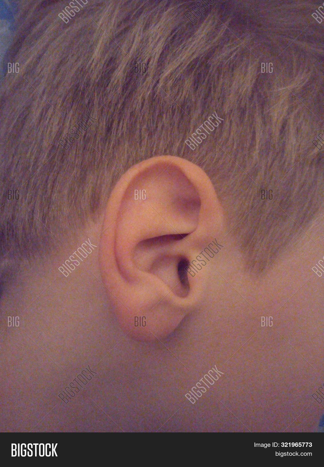 Babys Ear. Ear Child. Image & Photo (Free Trial) | Bigstock
