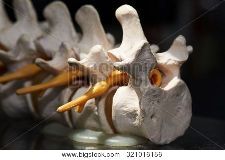 Close- View Artificial Image & Photo (Free Trial) | Bigstock