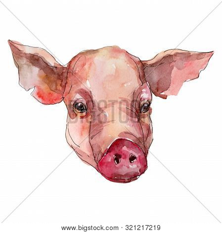 Pig Head Farm Animal Image & Photo (Free Trial) | Bigstock