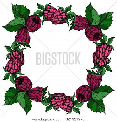 Vector Raspberry Vector & Photo (Free Trial) | Bigstock