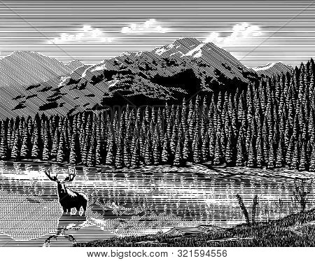 Woodcut Illustration Vector & Photo (Free Trial) | Bigstock