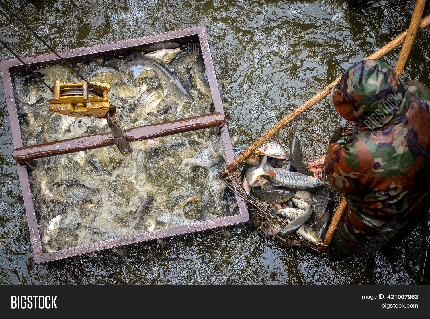 Belarus - August 2013 Image & Photo (Free Trial) | Bigstock