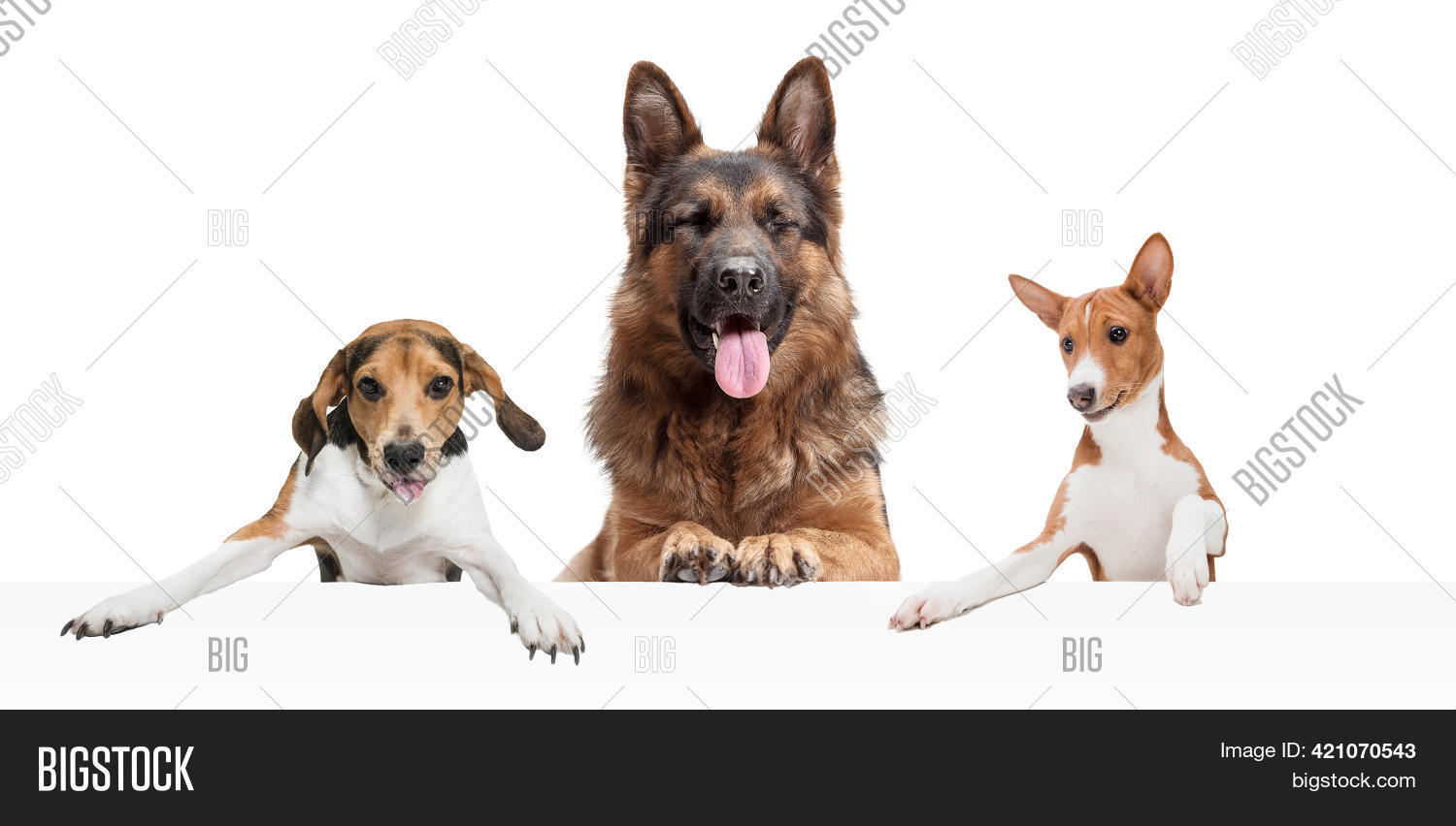 Three Cute Beautiful Image & Photo (Free Trial) | Bigstock