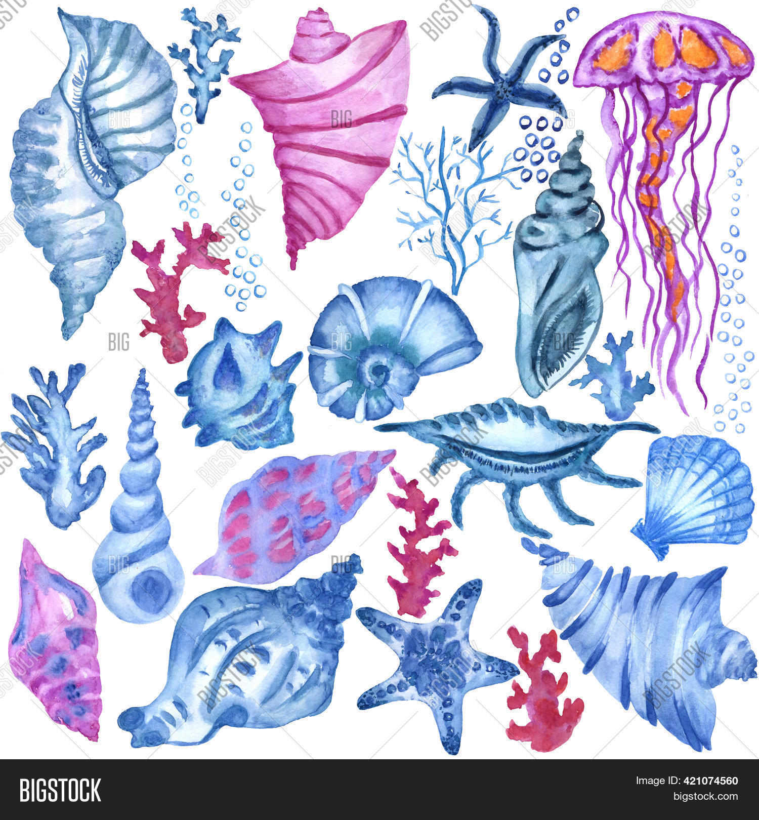Set Drawings Corals Image & Photo (Free Trial) | Bigstock