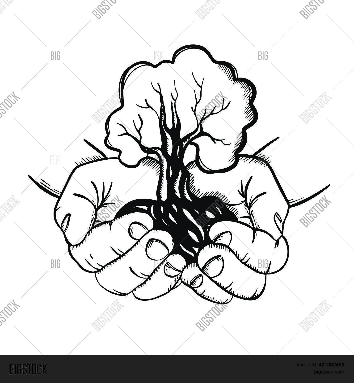Hands Holding Tree Vector & Photo (Free Trial) | Bigstock