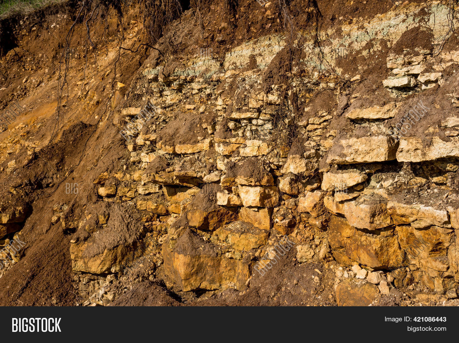 Slice Sedimentary Image & Photo (Free Trial) | Bigstock