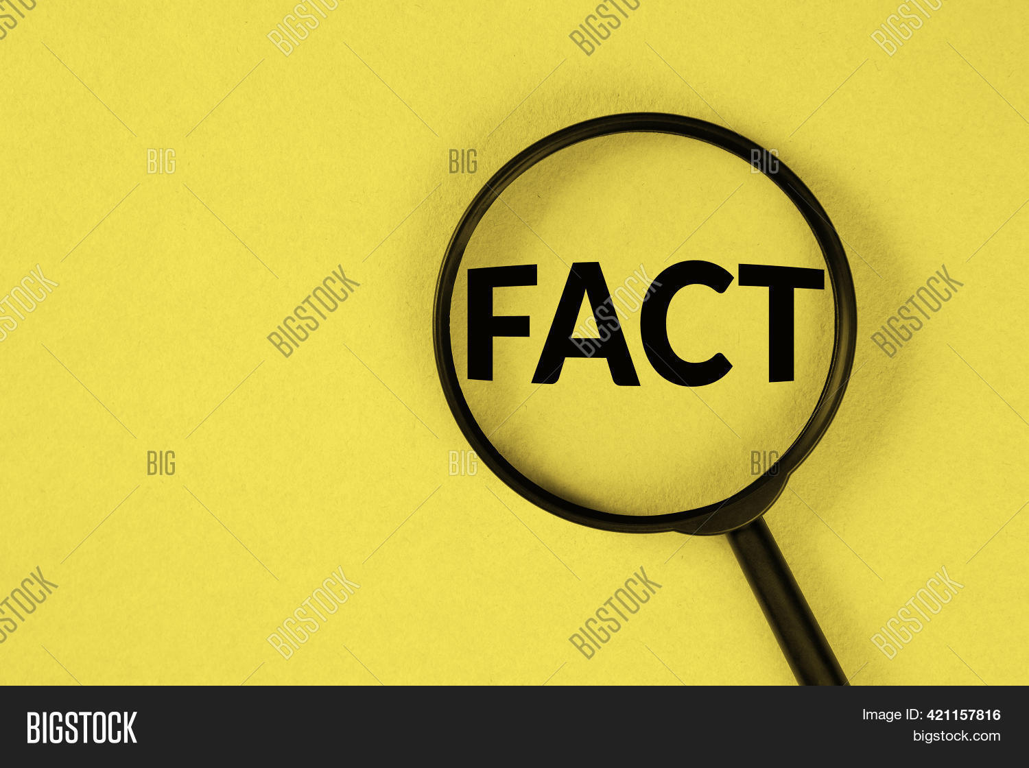 Fact - Word Through Image & Photo (Free Trial) | Bigstock