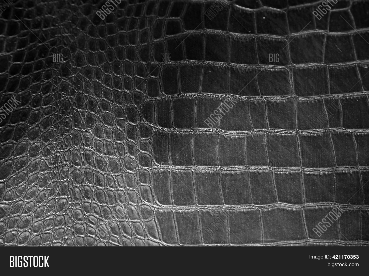 Alligator Skin. Image & Photo (Free Trial) | Bigstock