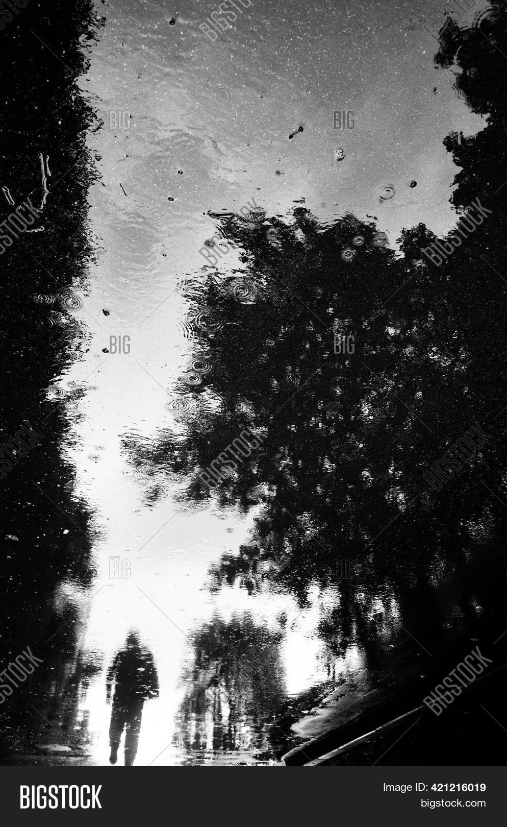 Inverted Reflection Image & Photo (Free Trial) | Bigstock