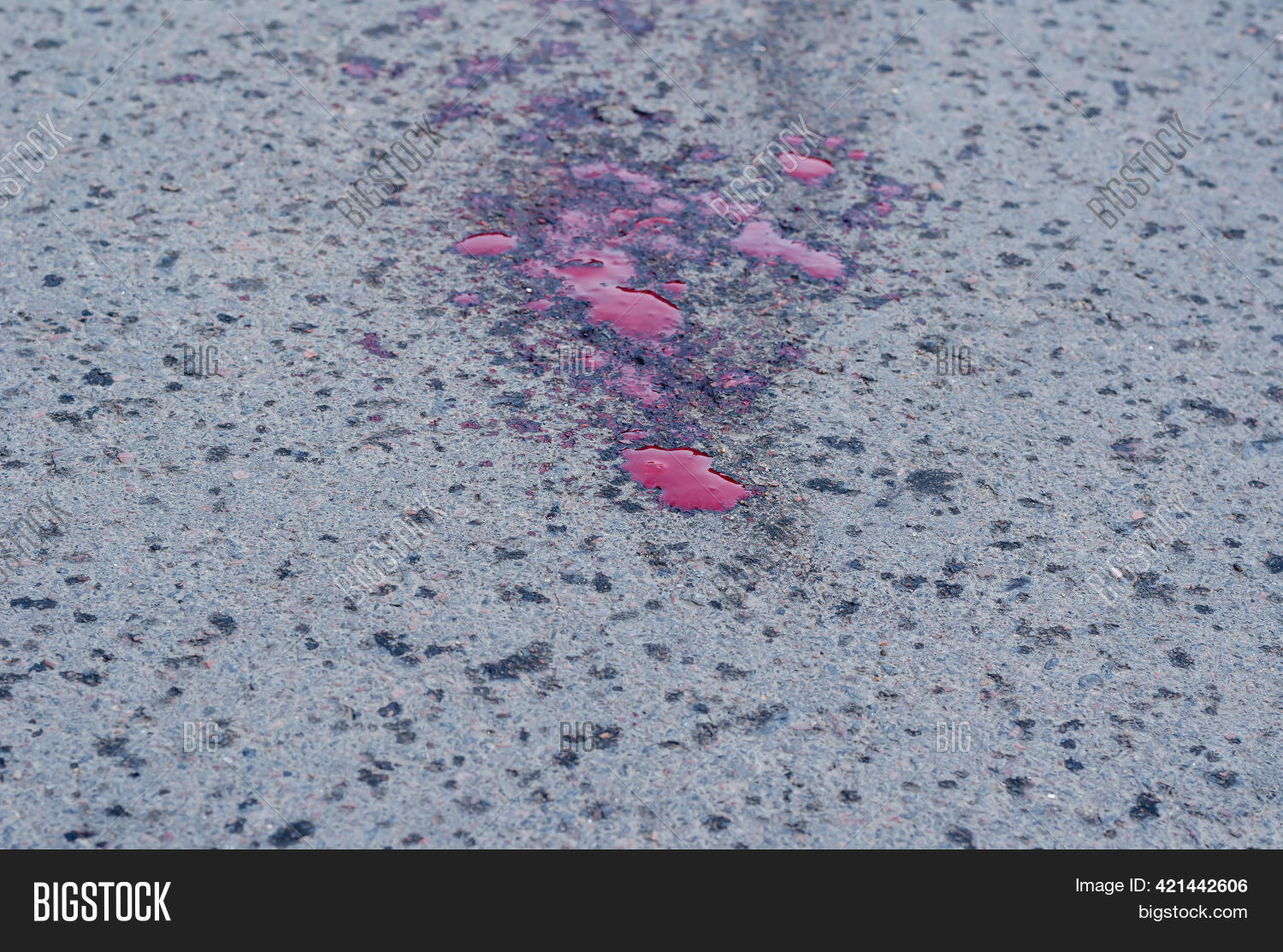 Pool Blood On Asphalt Image & Photo (Free Trial) | Bigstock