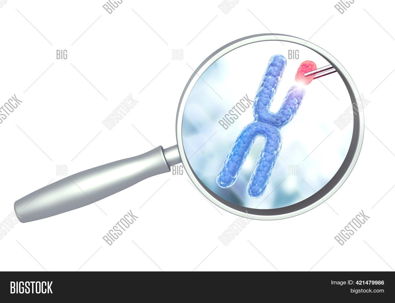 X Chromosome Break Image & Photo (Free Trial) | Bigstock