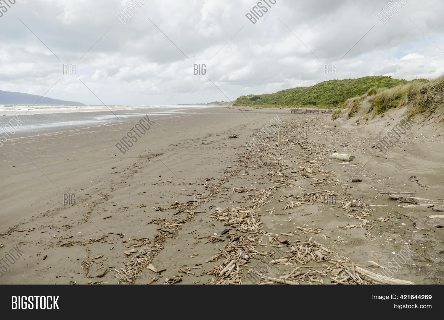 Scenery Whareroa Beach Image & Photo (Free Trial) | Bigstock