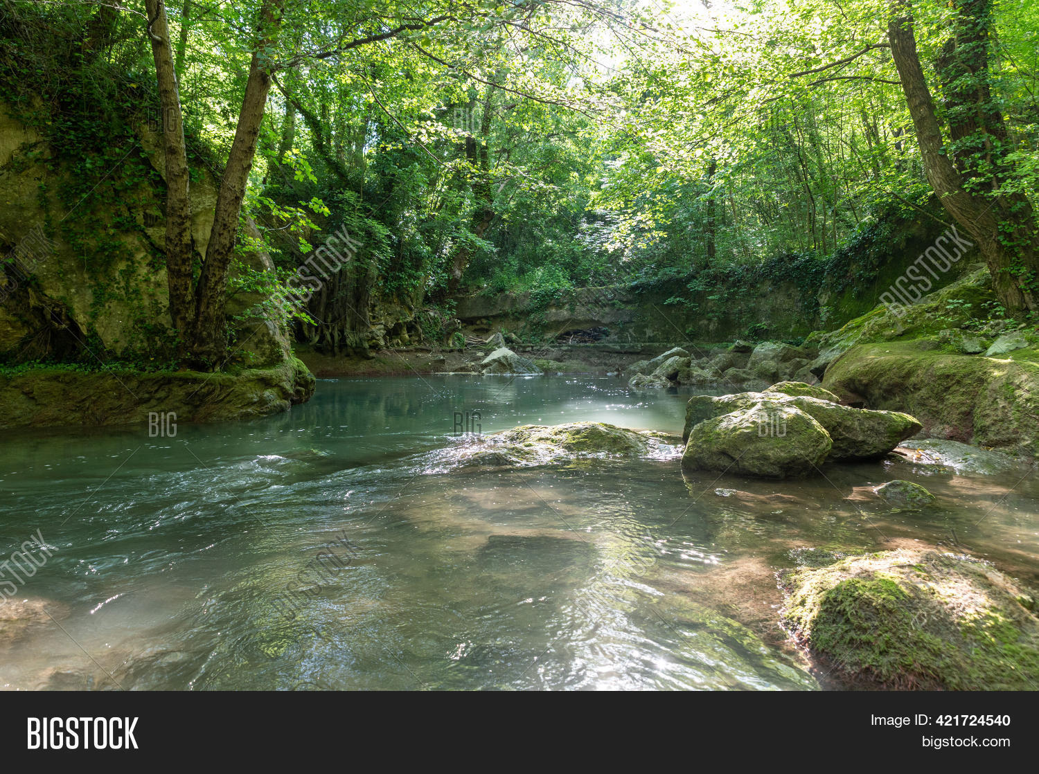 River Woods Coming Image & Photo (Free Trial) | Bigstock