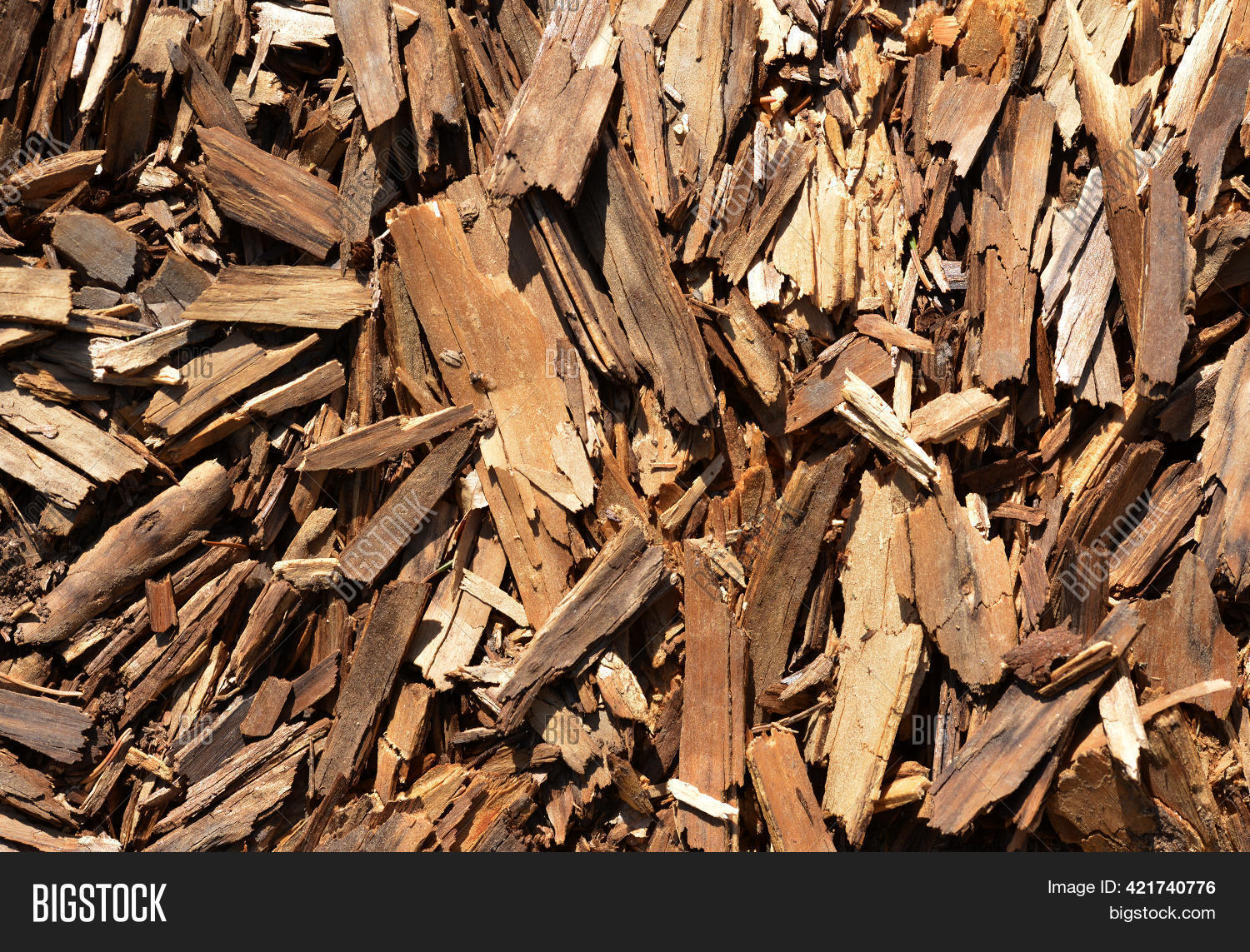 Tree Bark Splinters Image & Photo (Free Trial) | Bigstock