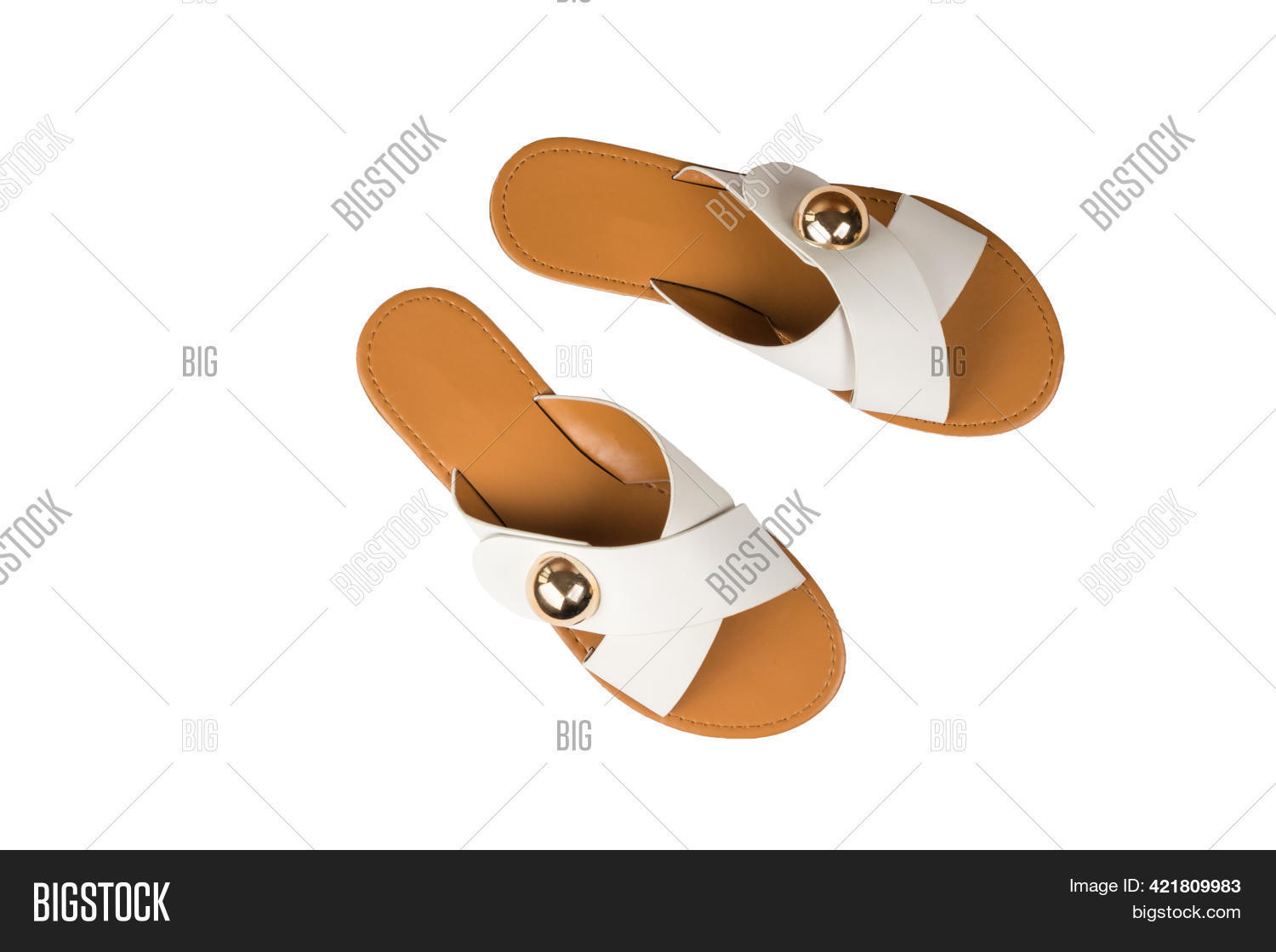 Top View Stylish Image & Photo (Free Trial) | Bigstock