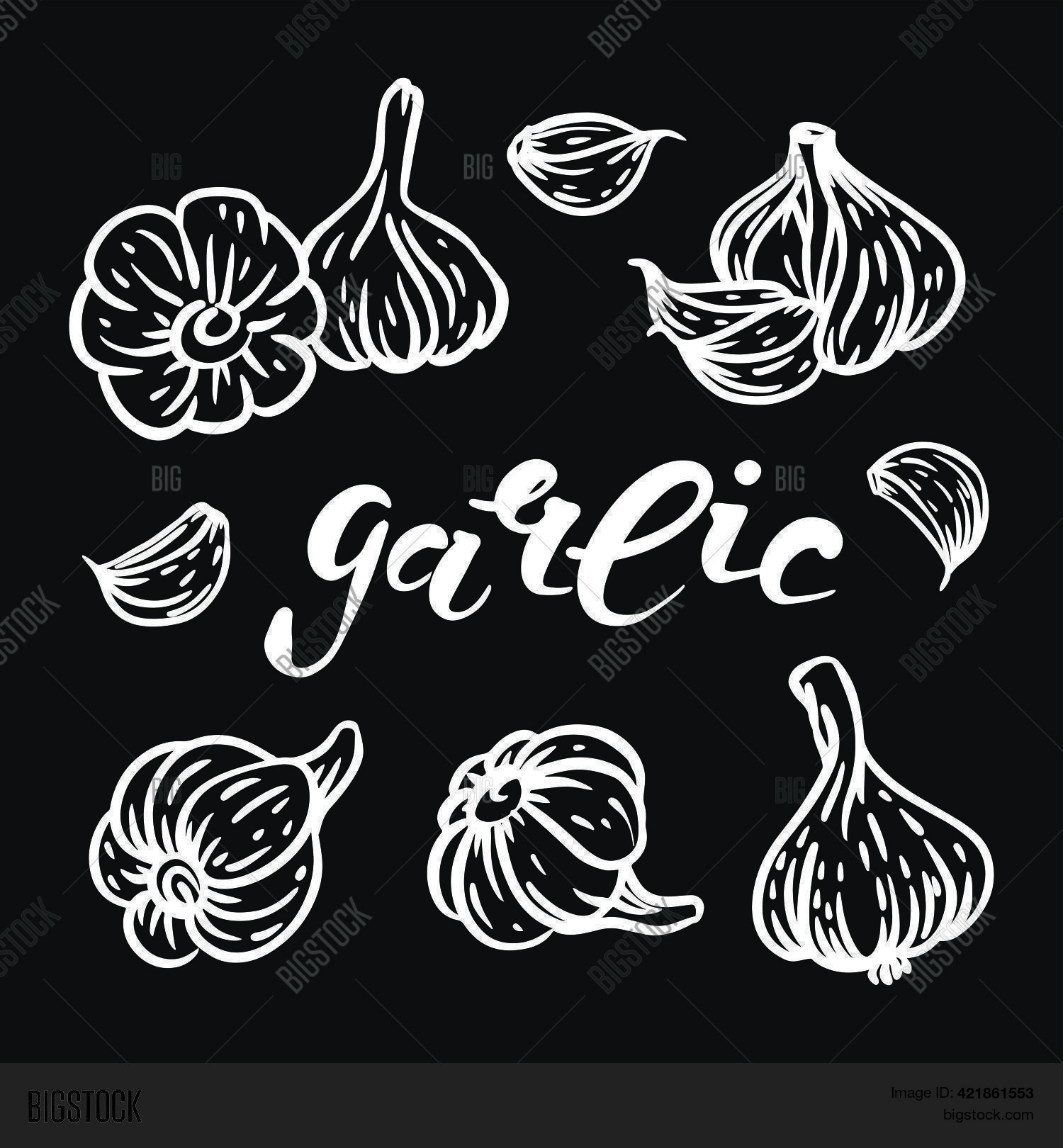 Garlic Lettering Vector & Photo (Free Trial) | Bigstock
