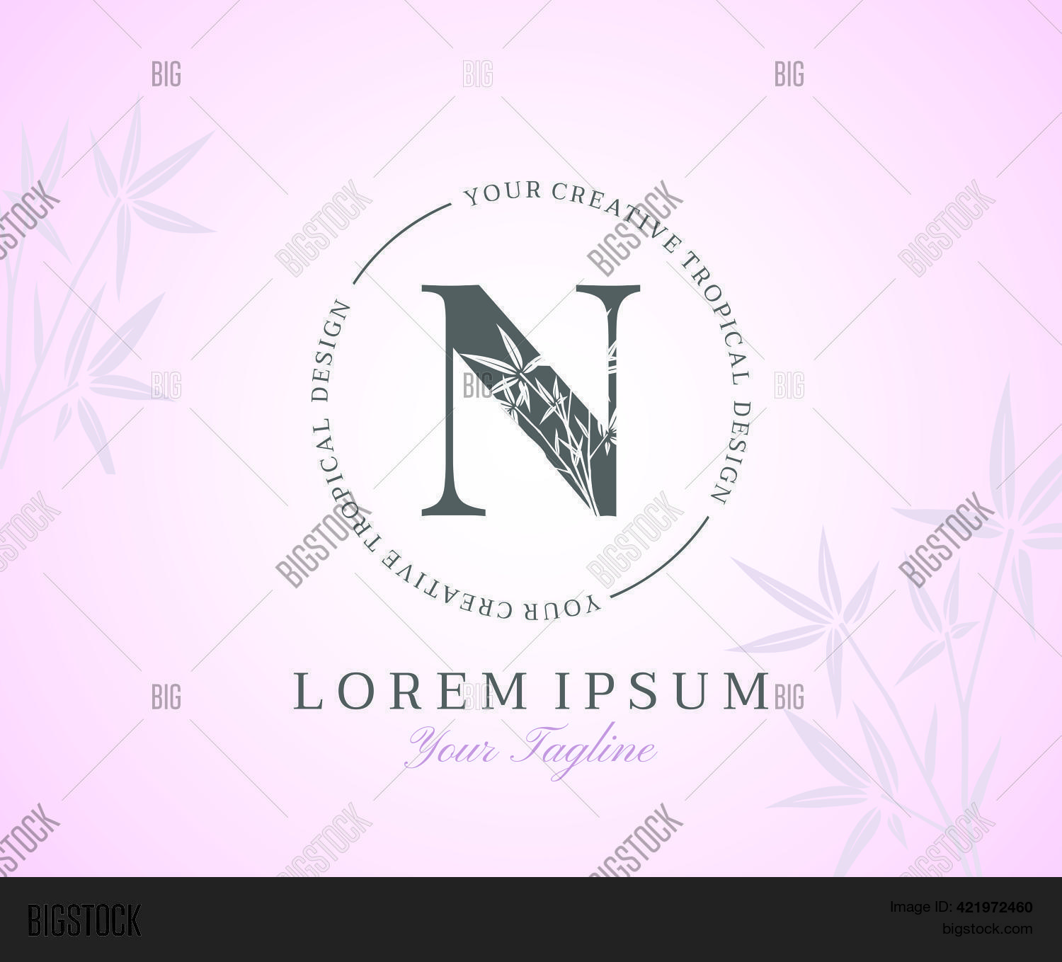 Feminine Letter N Vector & Photo (Free Trial) | Bigstock