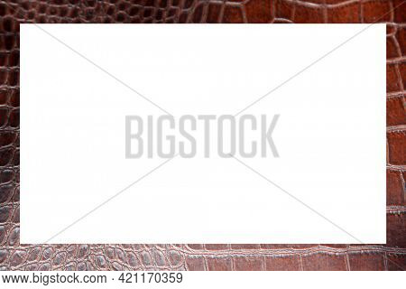 Alligator Skin. Image & Photo (Free Trial) | Bigstock