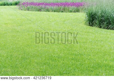 View Perfect Lawn Image & Photo (Free Trial) | Bigstock