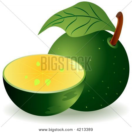 Calamansi Images, Illustrations, Vectors - Calamansi Stock Photos ...