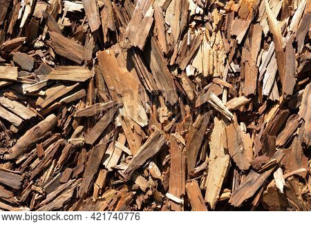 Tree Bark Splinters Image & Photo (Free Trial) | Bigstock
