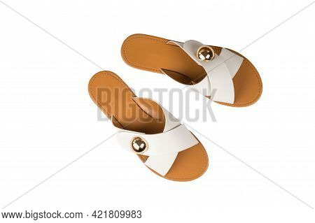 Top View Stylish Image & Photo (Free Trial) | Bigstock