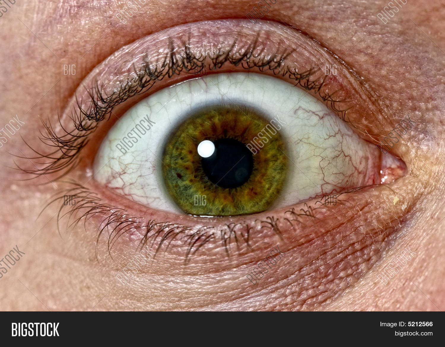 Eye Fear Image & Photo (Free Trial) | Bigstock