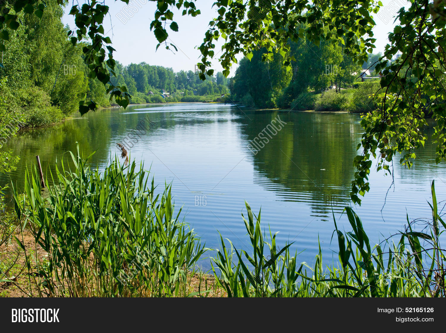 Summer Pond Image & Photo (Free Trial) | Bigstock