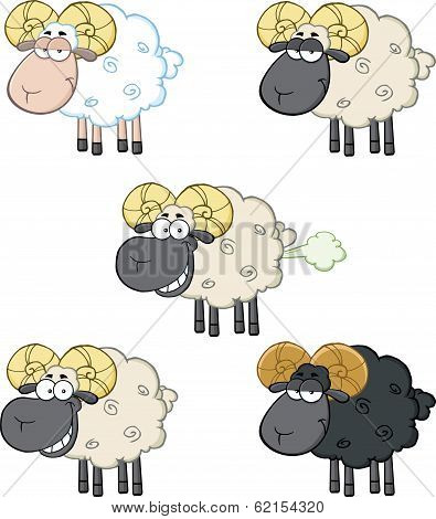 Funny Sheep Cartoon Image & Photo (Free Trial) | Bigstock