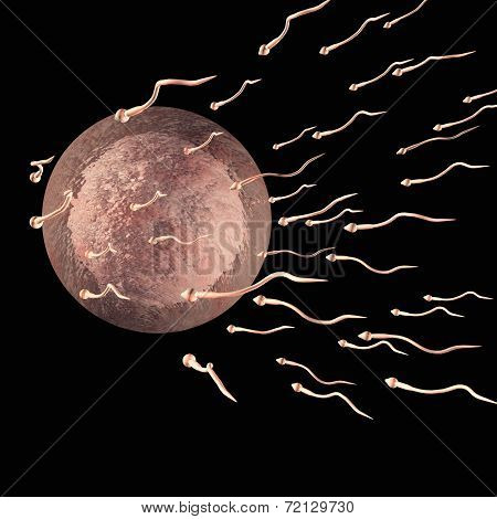 Human Copulation Images, Illustrations & Vectors (Free) - Bigstock