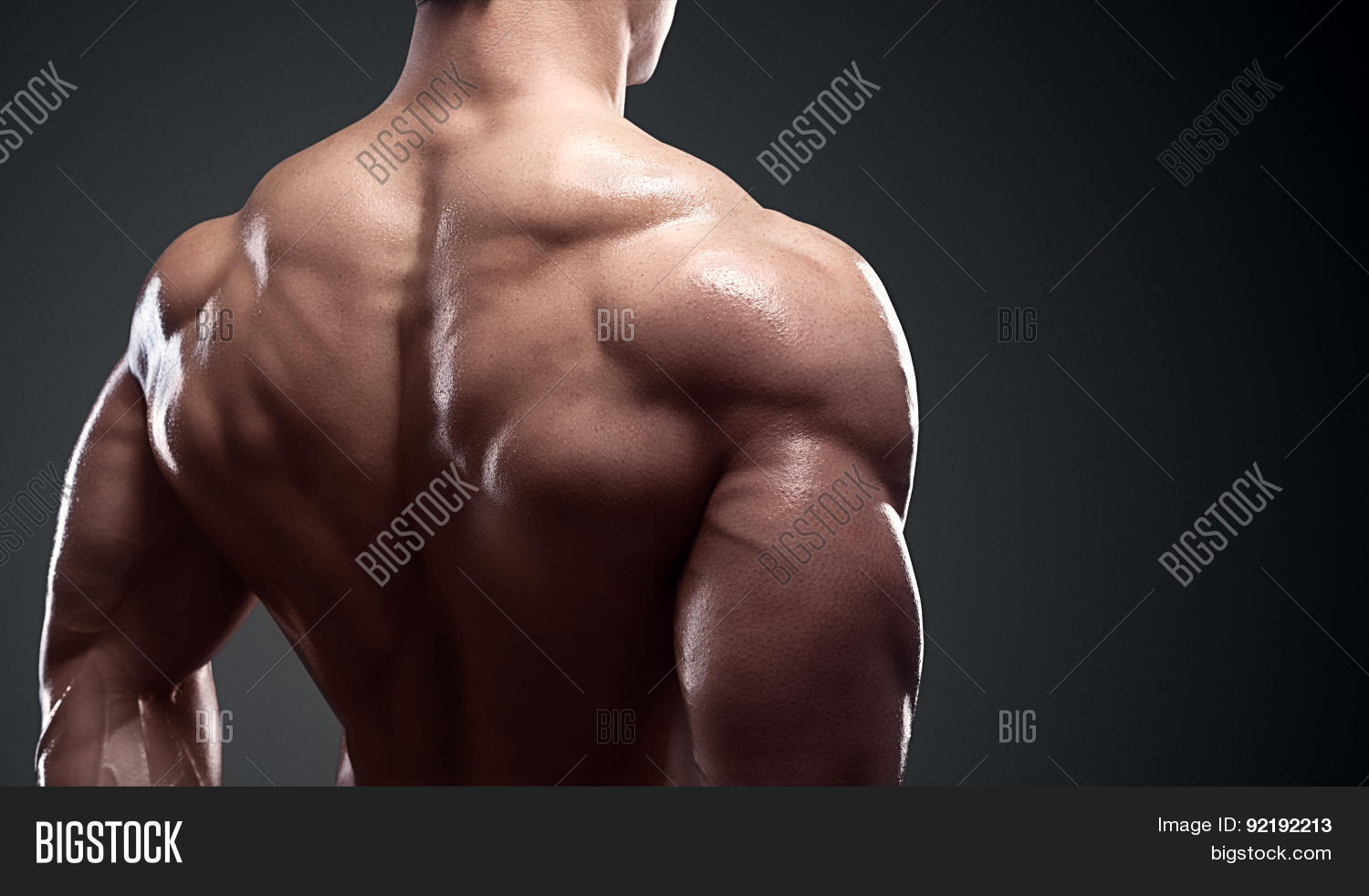 Muscled Male Model Image & Photo (Free Trial) | Bigstock