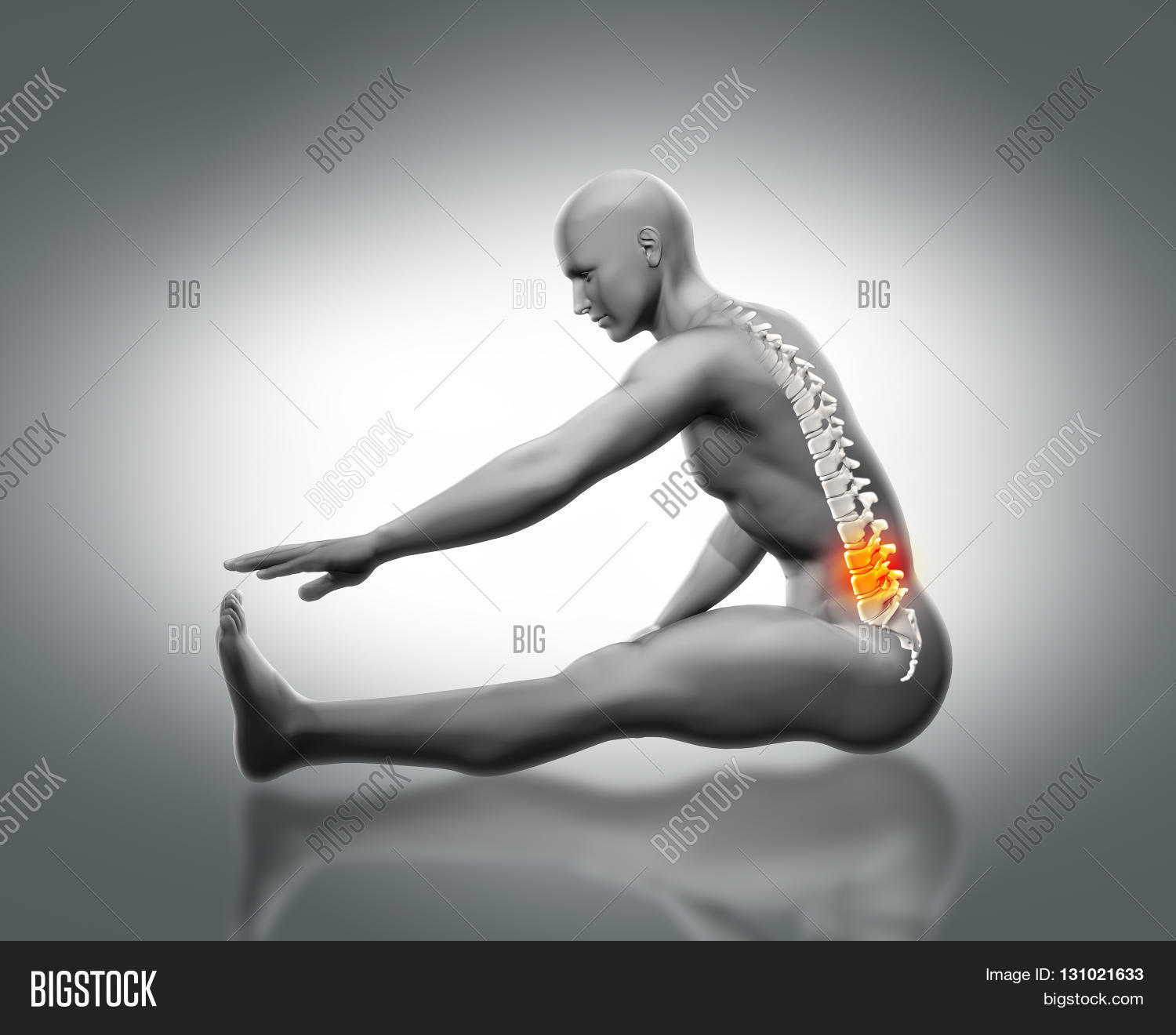 3D Male Medical Figure Image & Photo (Free Trial) | Bigstock