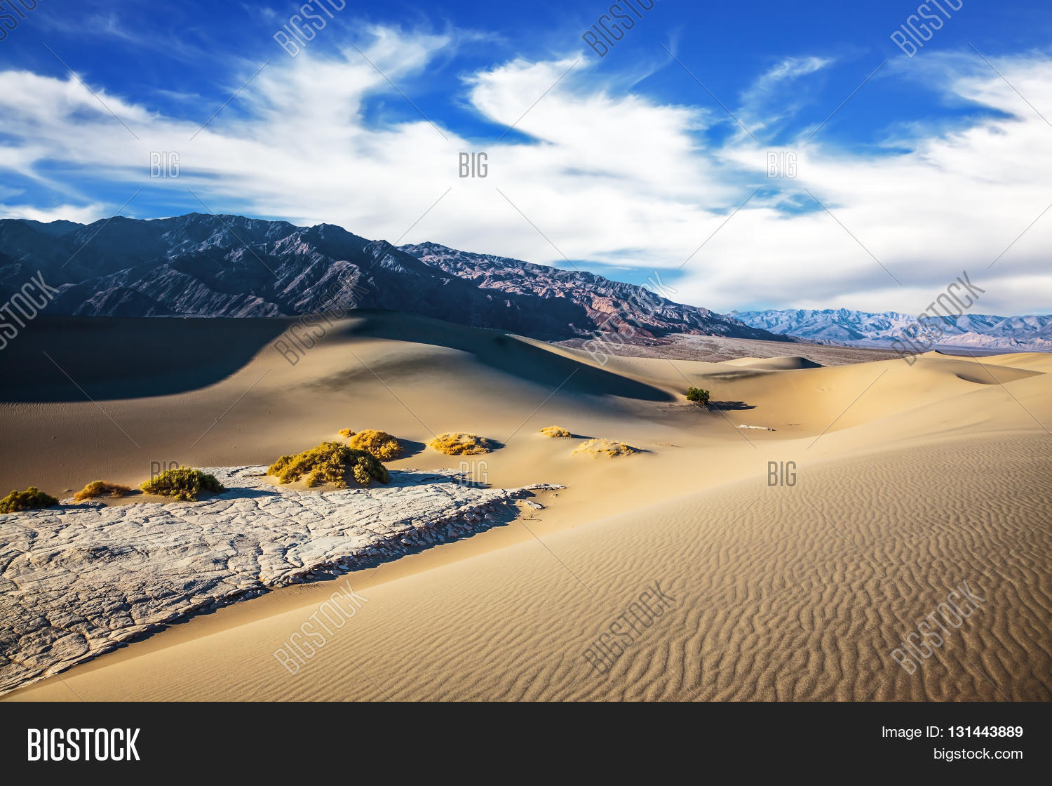 Hot Windy Morning Image & Photo (Free Trial) | Bigstock